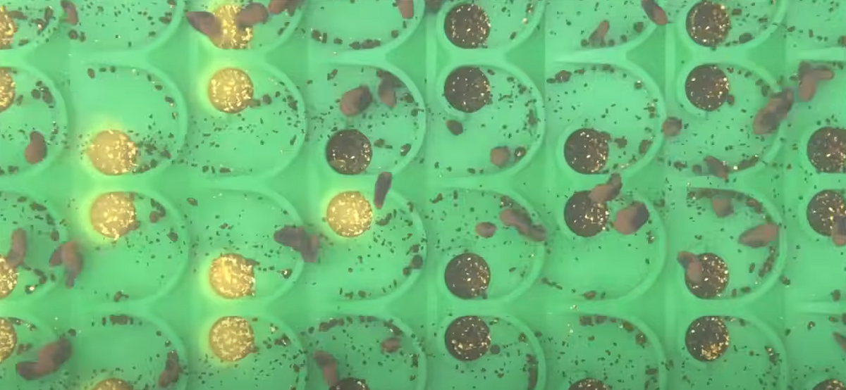 Dream Mat | Sluice Mat Guide | Gold Prospecting